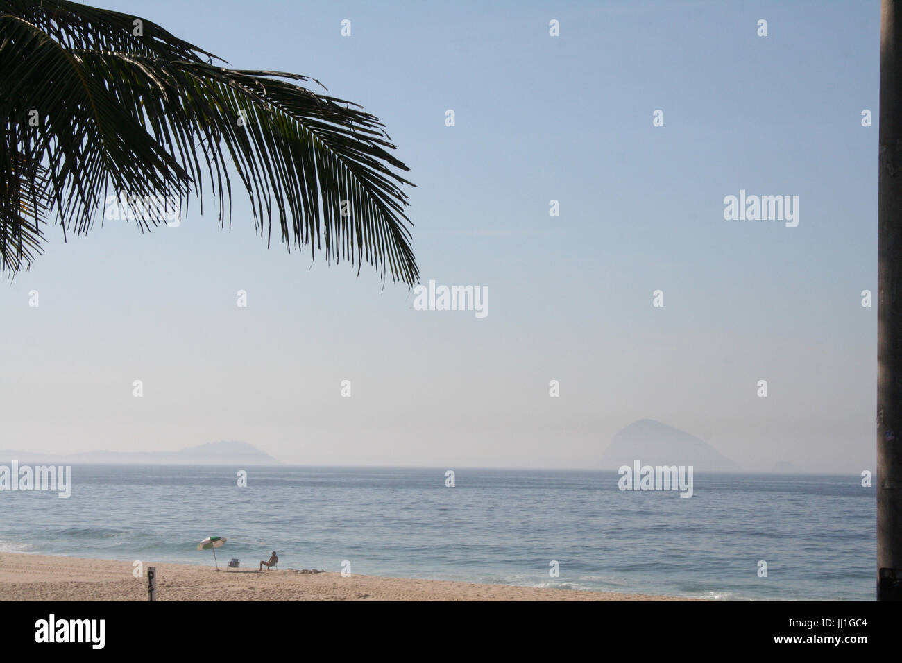 Palm tree, beach, Rio de Janeiro, Brazil Stock Photo - Alamy