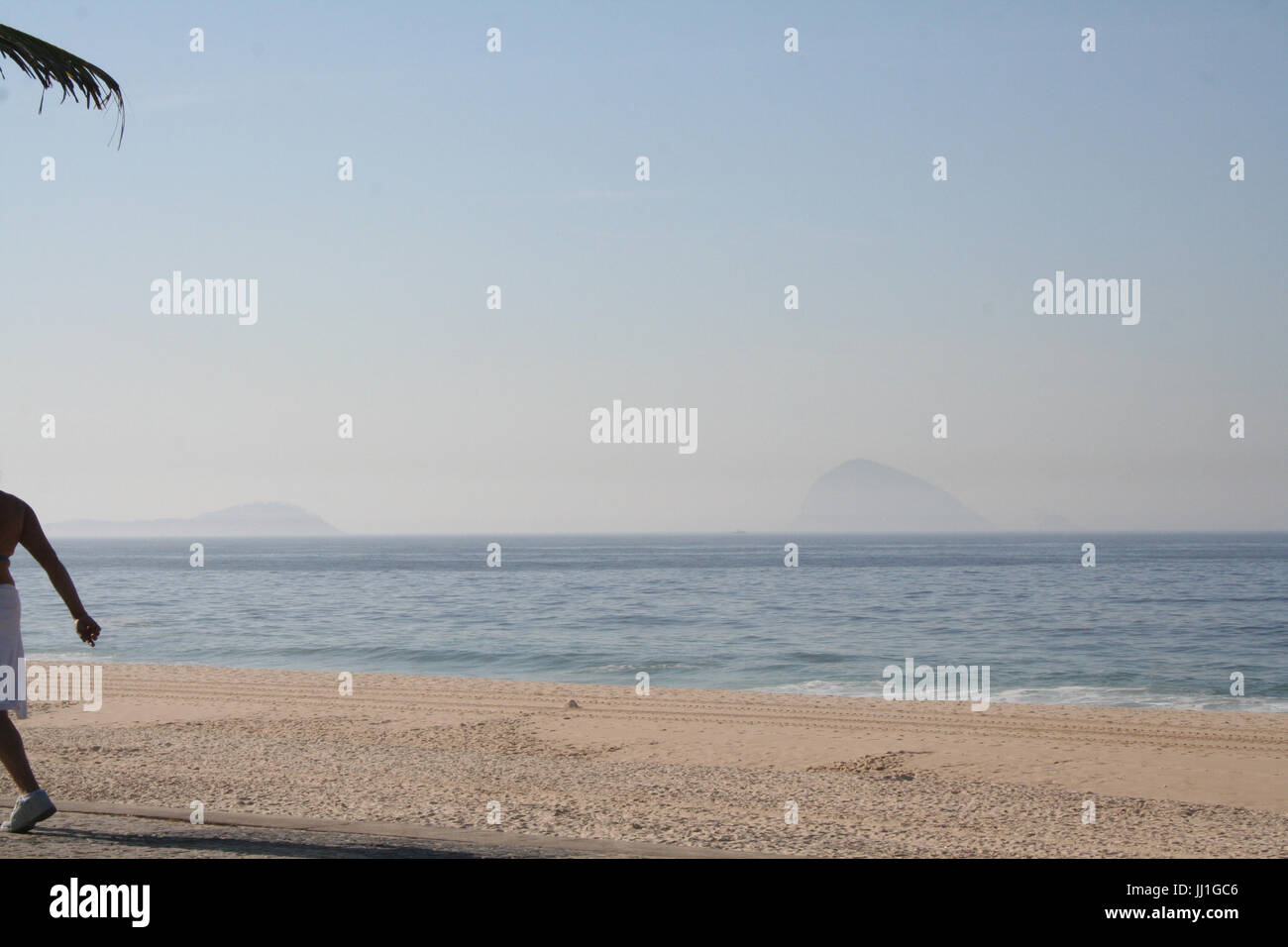 Palm tree, beach, Rio de Janeiro, Brazil Stock Photo - Alamy