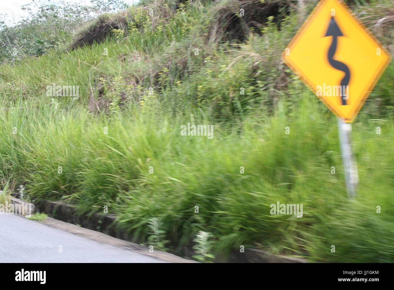 Sinuous leaf hi-res stock photography and images - Alamy