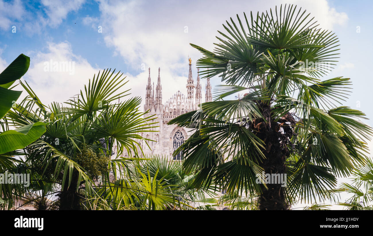Milan palm trees hi-res stock photography and images - Alamy