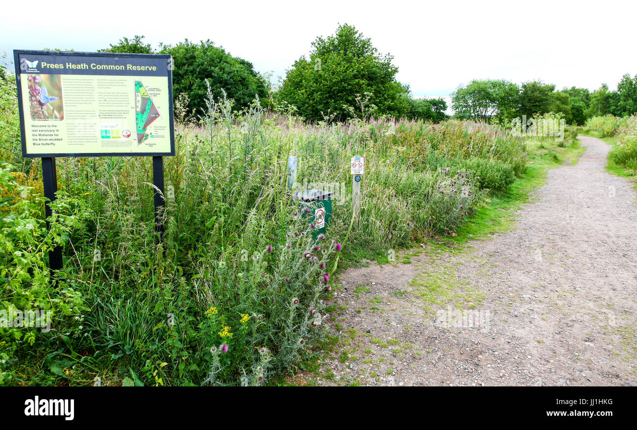 Prees Heath Common nature reserve near Whitchurch, Shropshire, England ...
