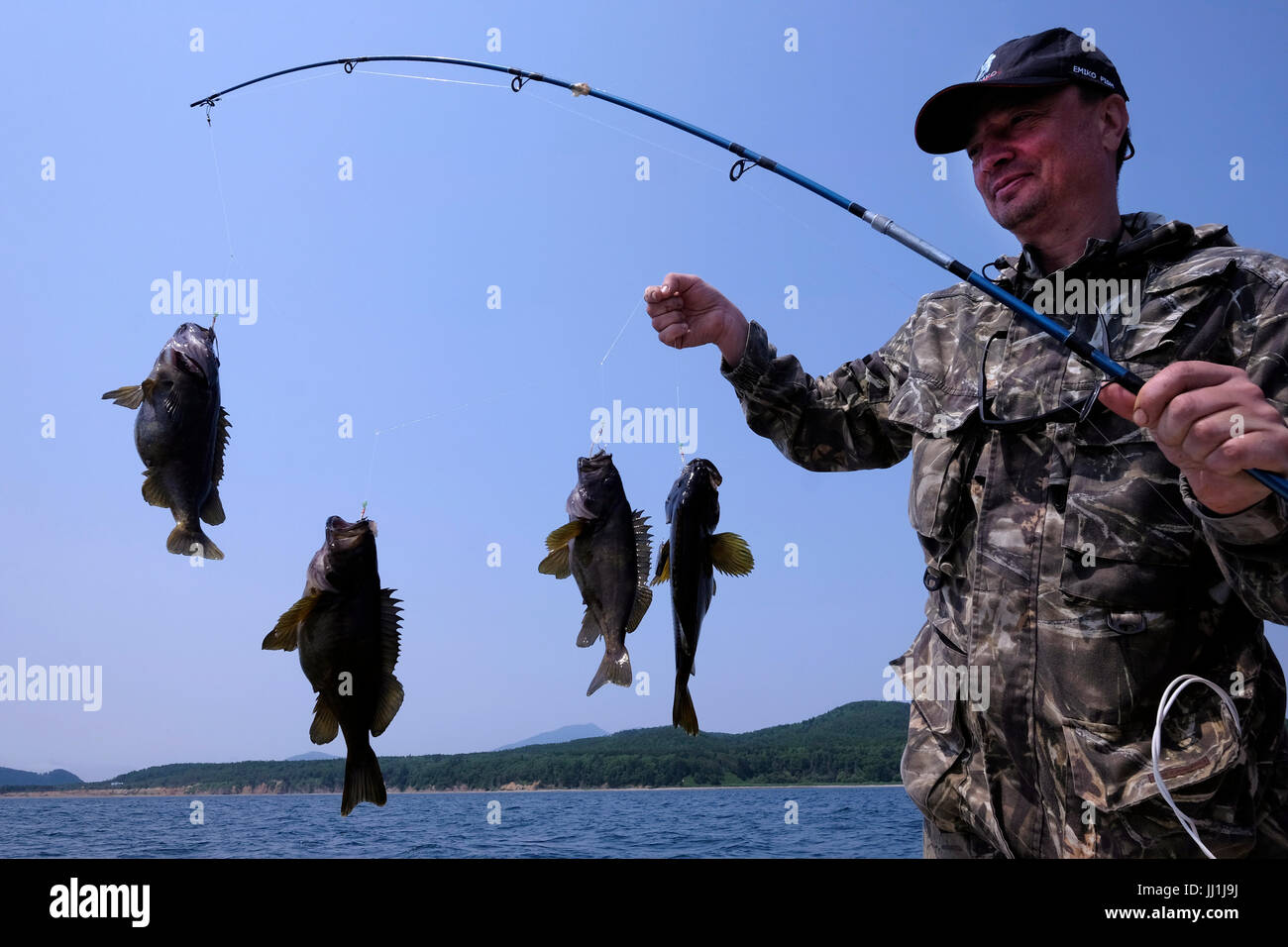 A Russian angler fisherman is reeling in his catch of Sculpin fish that ...