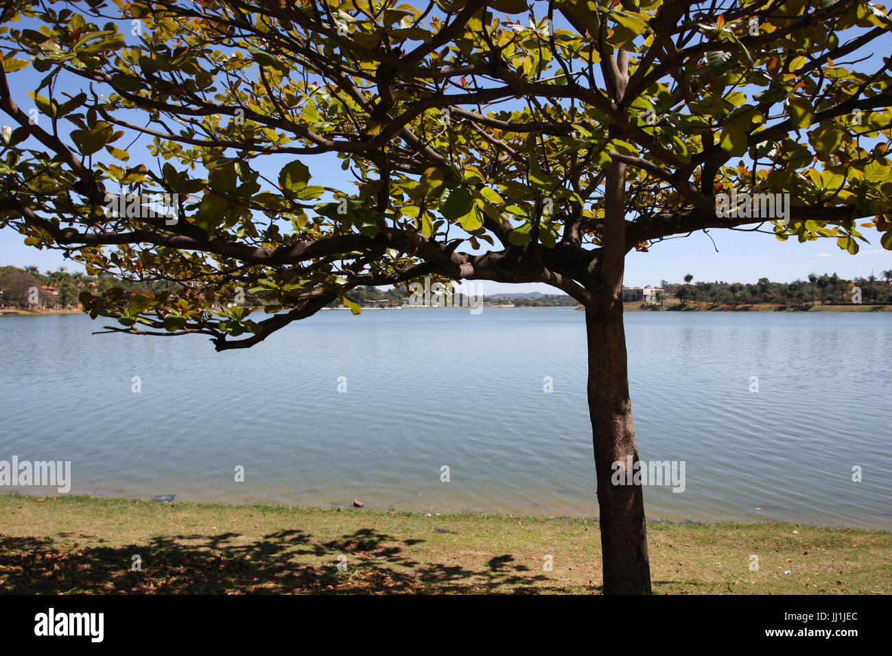 Pampulha Pond, Belo Horizonte, Minas Gerais, Brazil Stock Photo - Alamy
