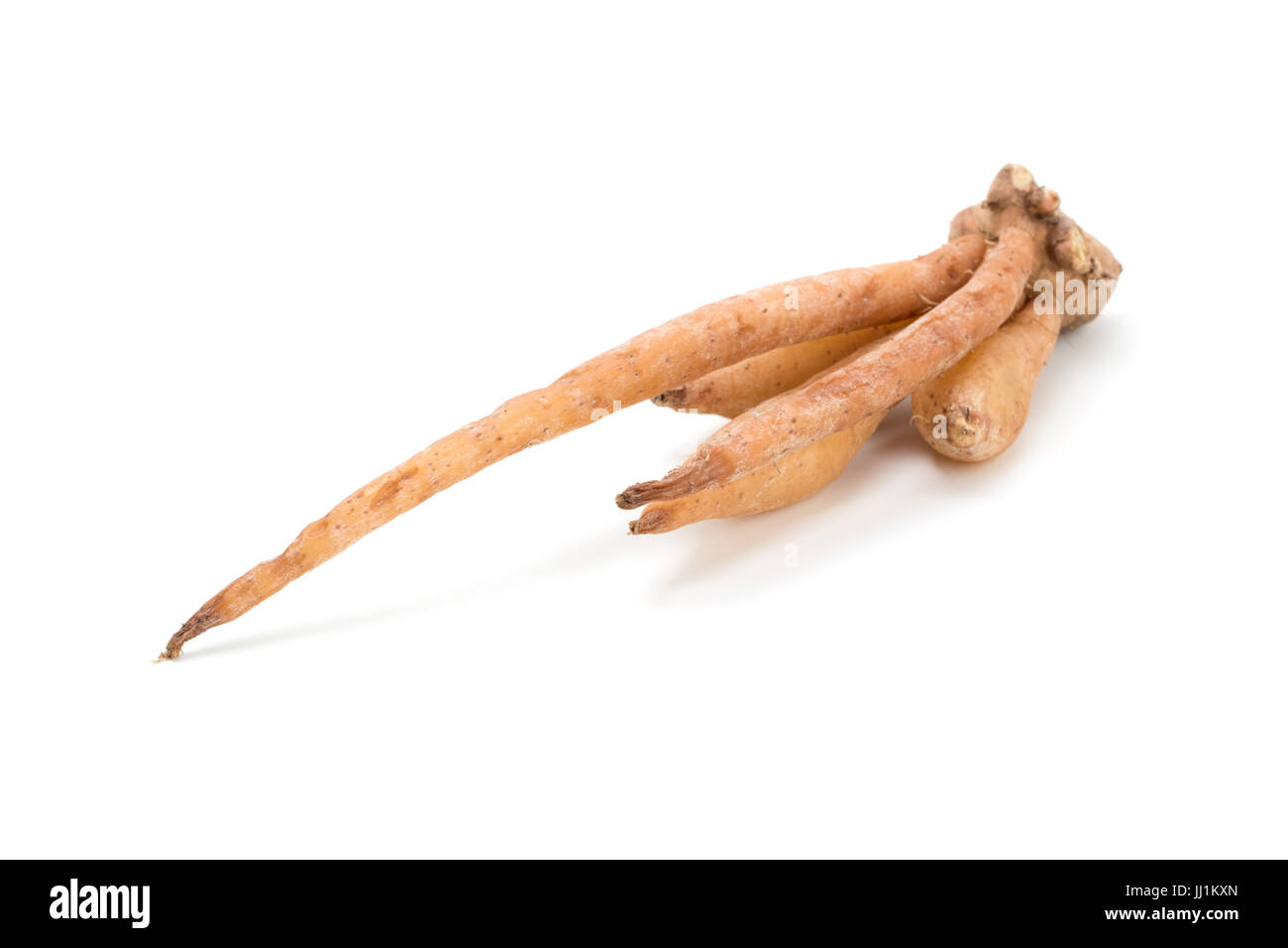 Galingale or Chinese ginger isolated on white background Stock Photo ...