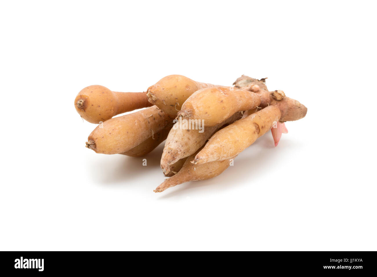Galingale or Chinese ginger isolated on white background Stock Photo ...