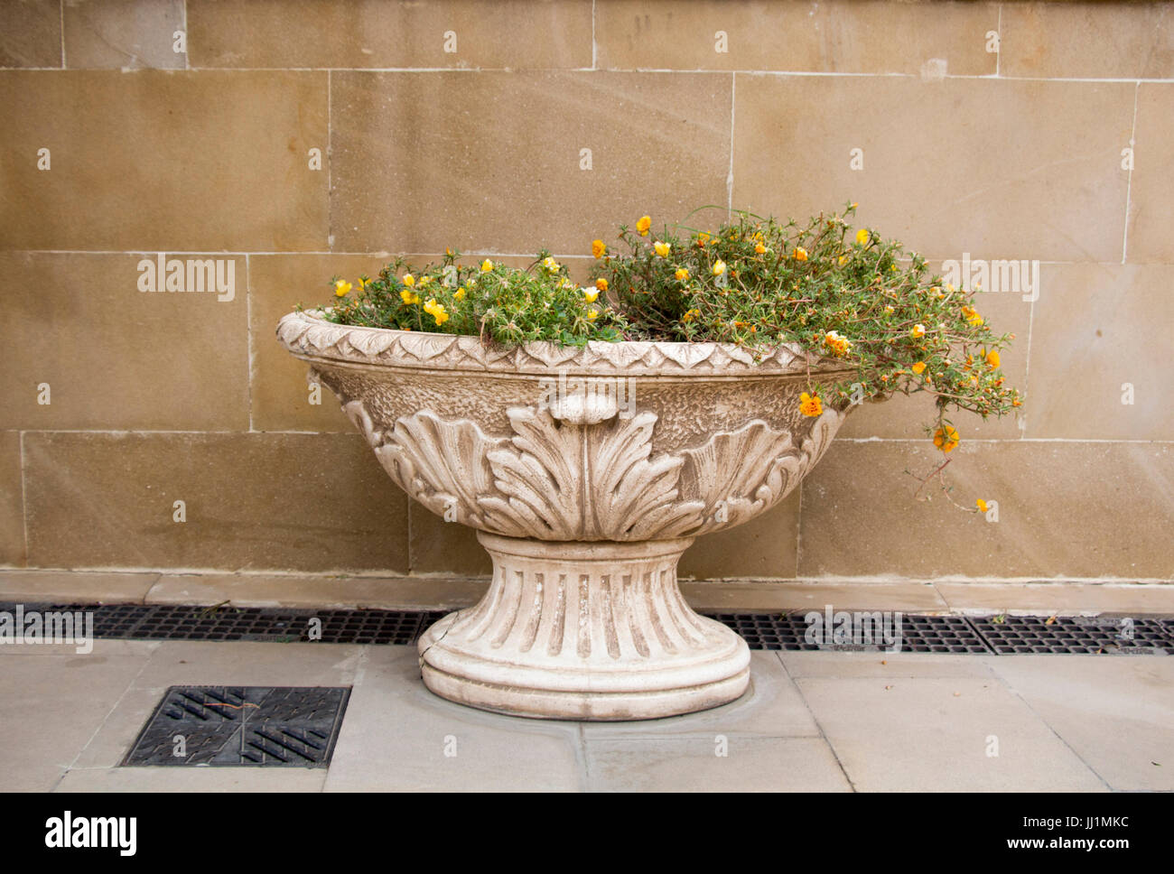 Gypsum flower hi-res stock photography and images - Alamy