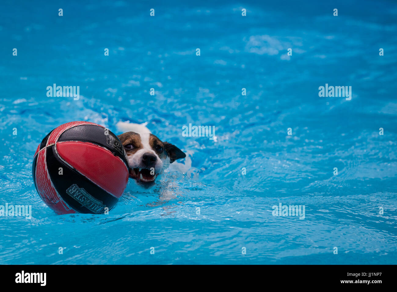 Basketball in swimming pool hi-res stock photography and images - Alamy