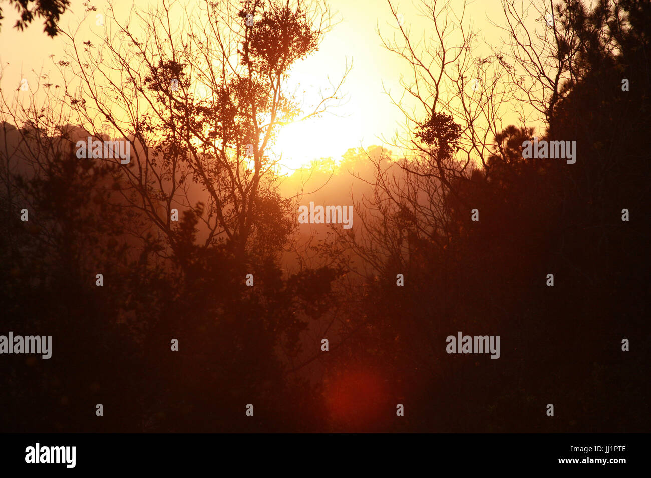Sunset, Landscape, São Paulo, Brazil Stock Photo - Alamy