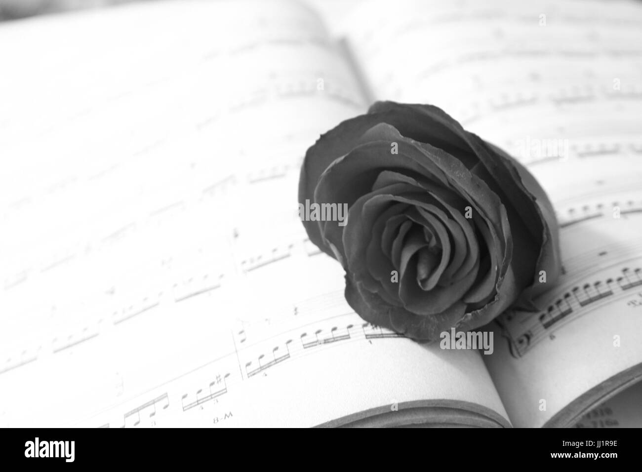 Rosas simbolos hi-res stock photography and images - Alamy