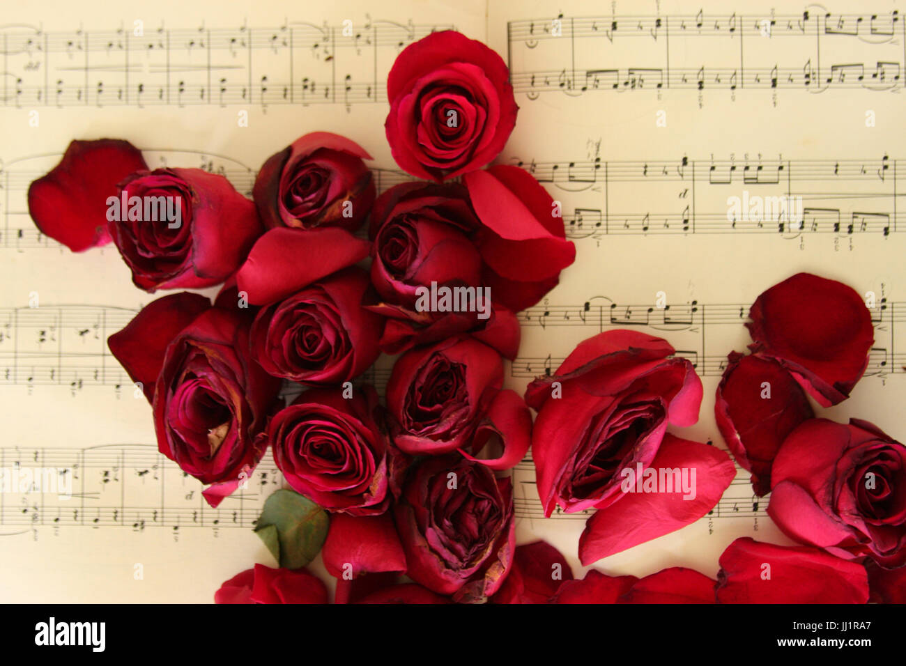 Rosas simbolos hi-res stock photography and images - Alamy