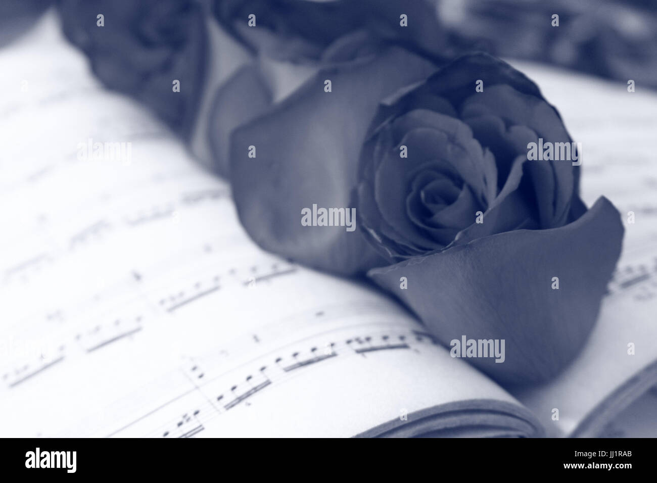 Rosas simbolos hi-res stock photography and images - Alamy