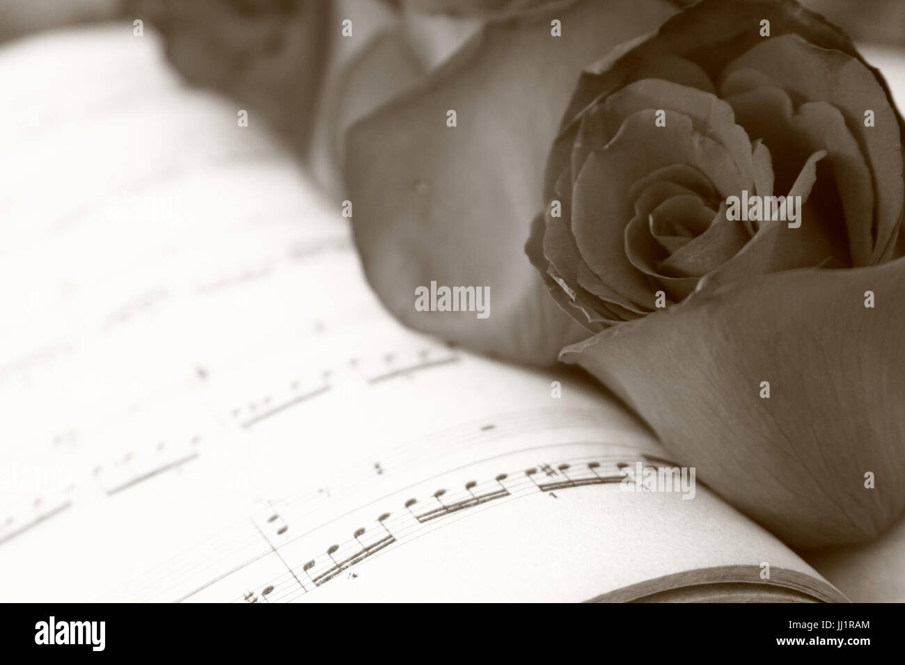 Rosas simbolos hi-res stock photography and images - Alamy