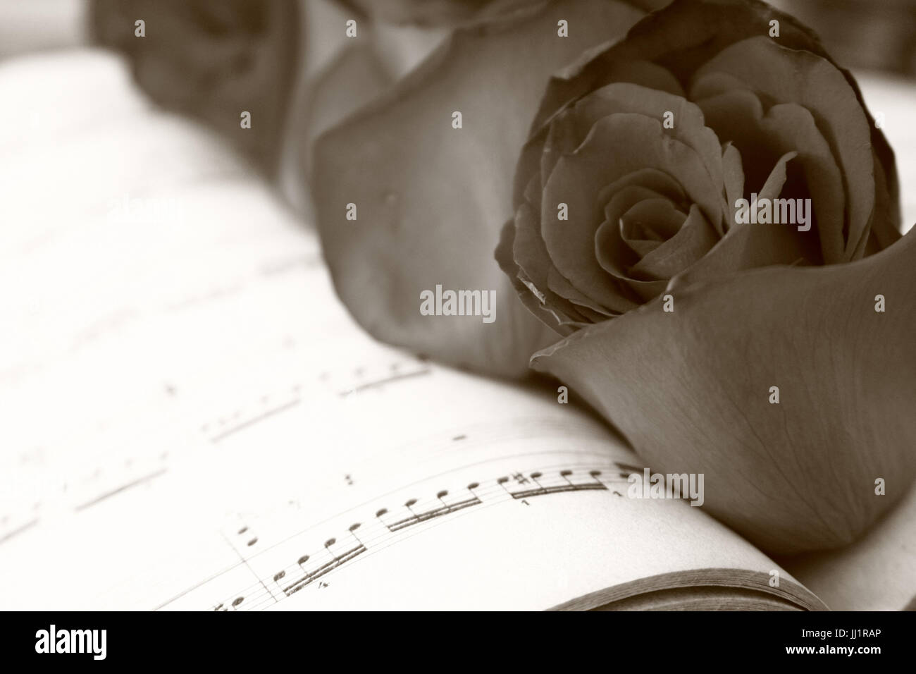 Rosas simbolos hi-res stock photography and images - Alamy