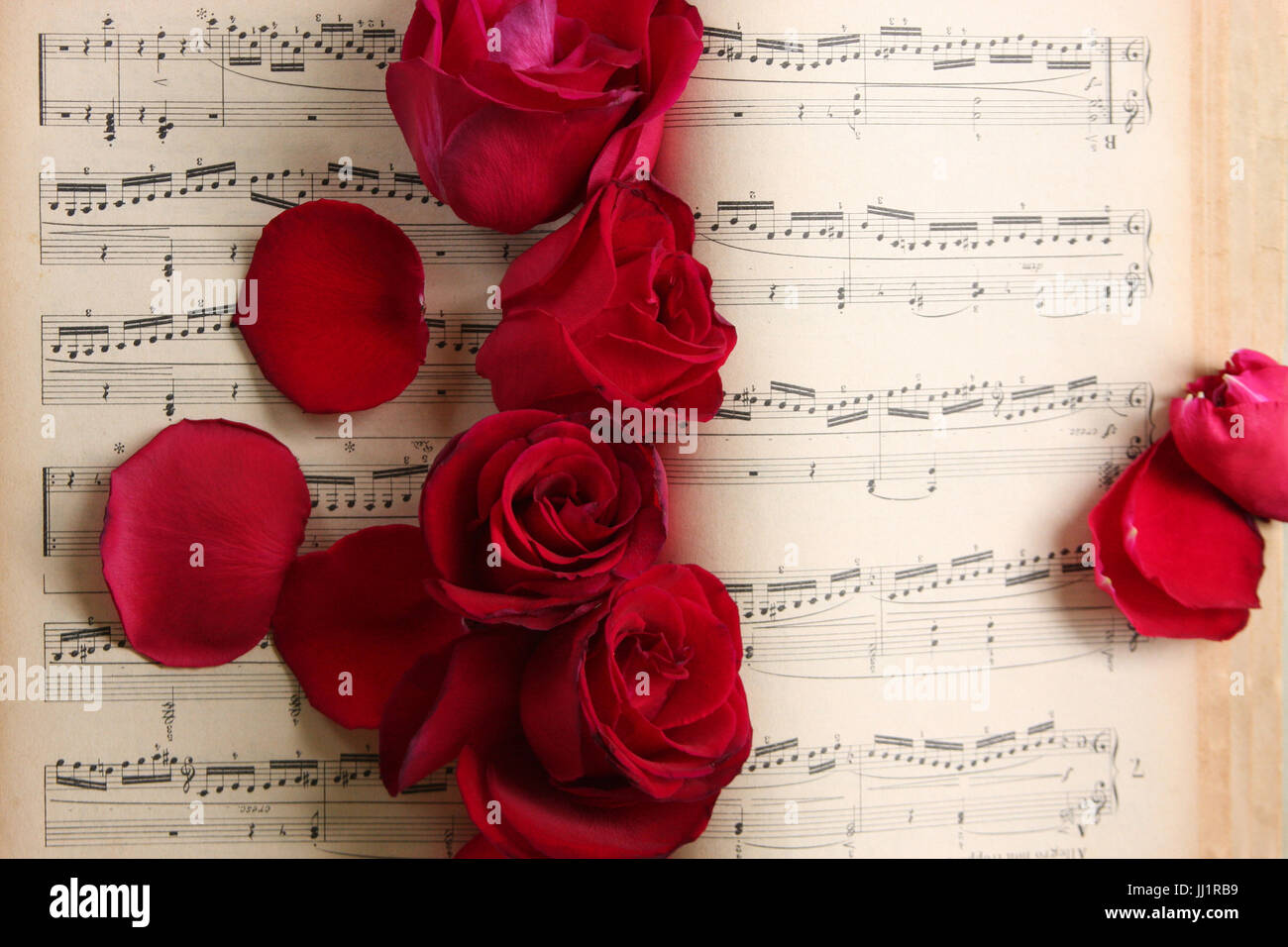 Score, Flower, São Paulo, Brazil Stock Photo - Alamy