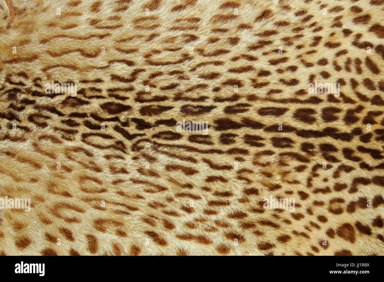 Pele brazil color hi-res stock photography and images - Alamy