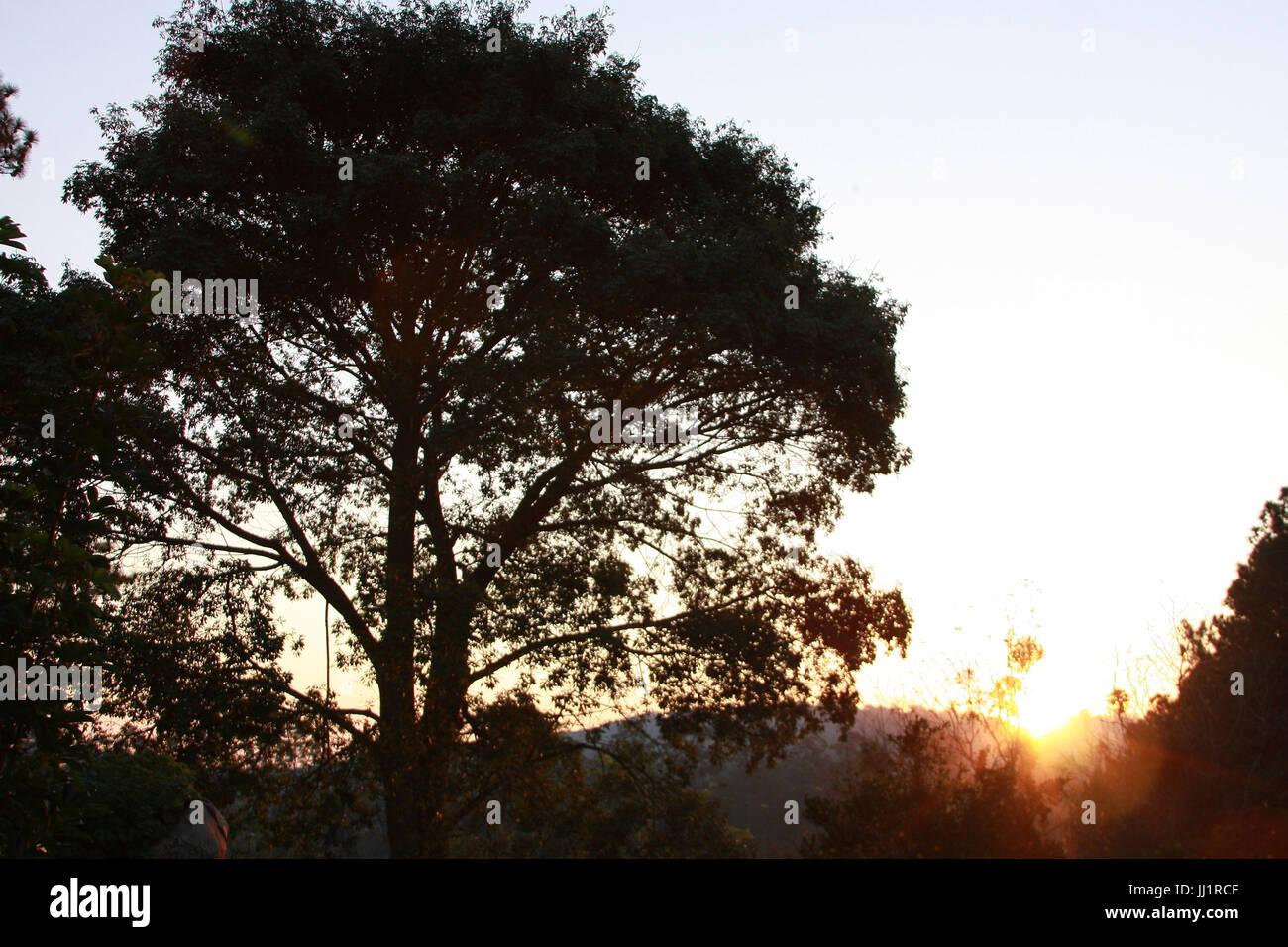 Sunset, Landscape, São Paulo, Brazil Stock Photo - Alamy