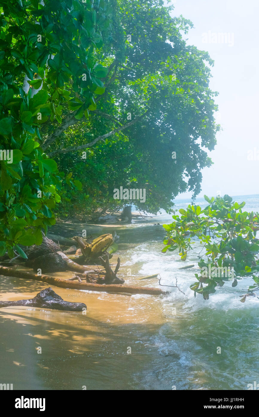 Beautiful beaches costa rica hi-res stock photography and images - Alamy