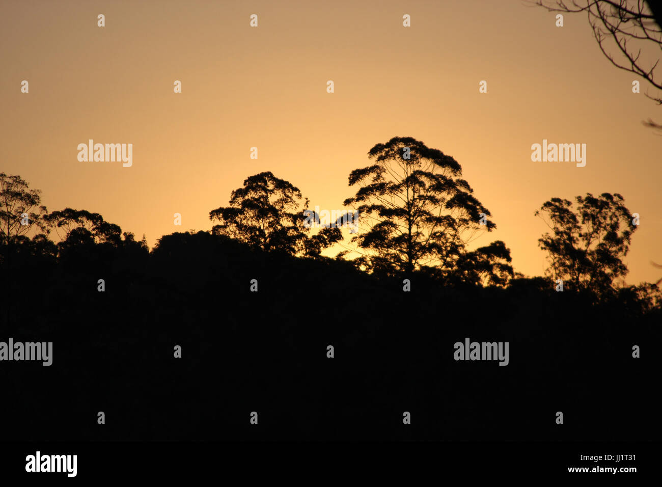 Sunset, São Paulo, Brazil Stock Photo - Alamy