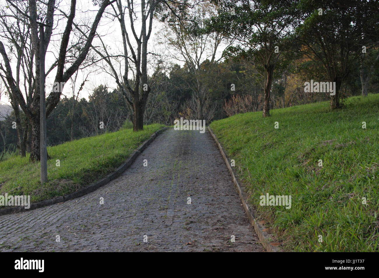 Road, São Paulo, Brazil Stock Photo - Alamy