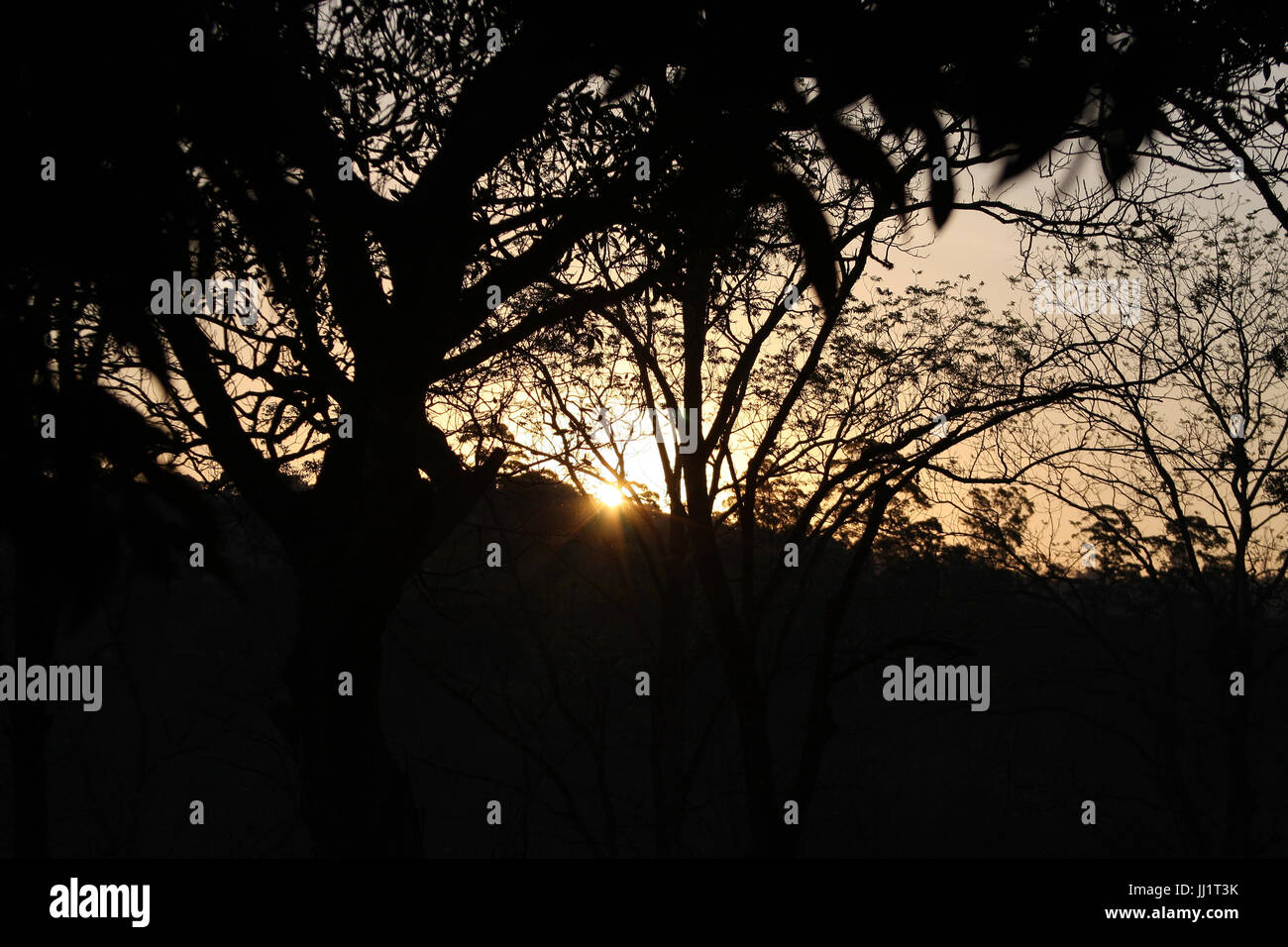 Sunset, São Paulo, Brazil Stock Photo - Alamy