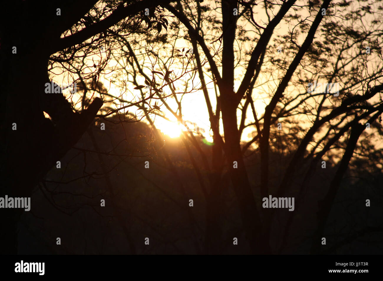 Sunset, São Paulo, Brazil Stock Photo - Alamy