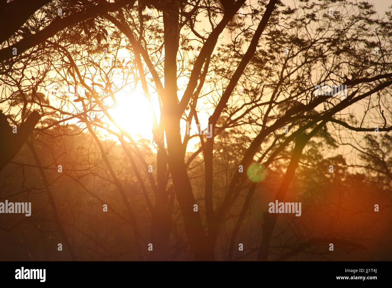 Sunset, São Paulo, Brazil Stock Photo - Alamy