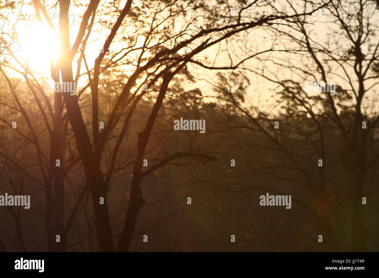 Sunset, São Paulo, Brazil Stock Photo - Alamy