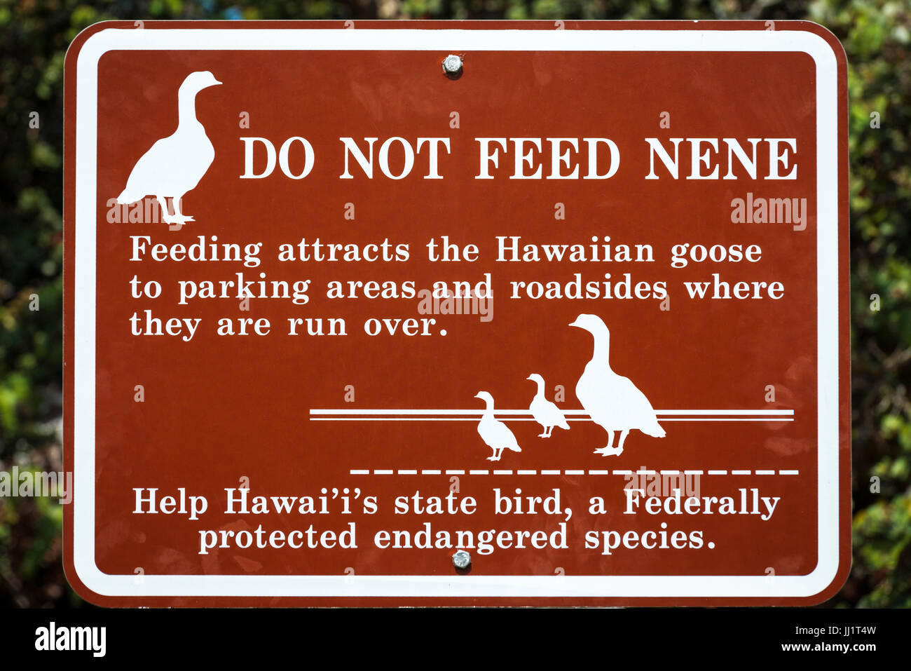 Nene warning sign on the Kilauea Iki trail, Hawaii Volcanoes National ...