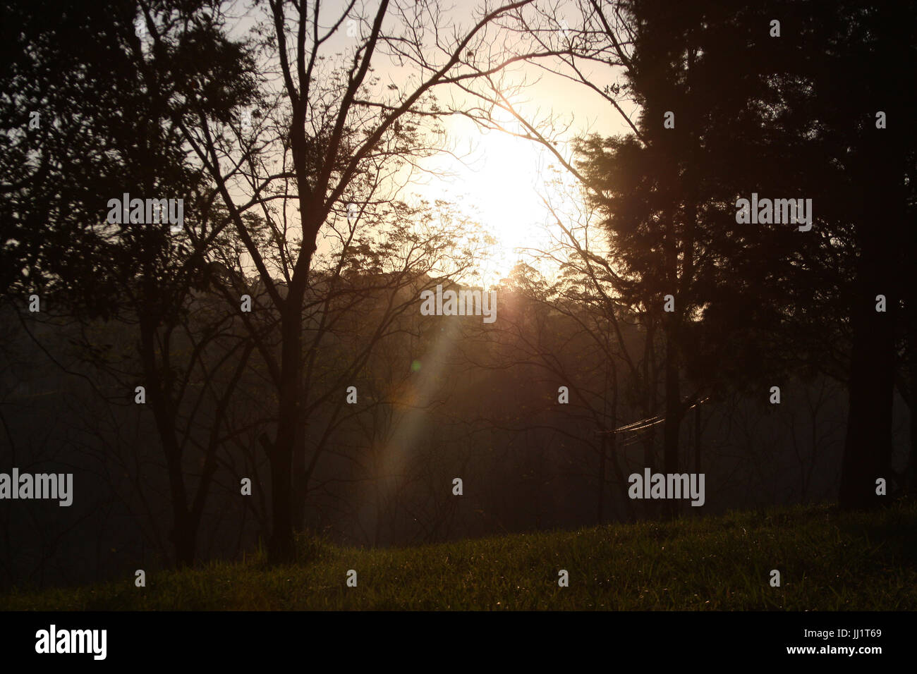 Sunset, São Paulo, Brazil Stock Photo - Alamy