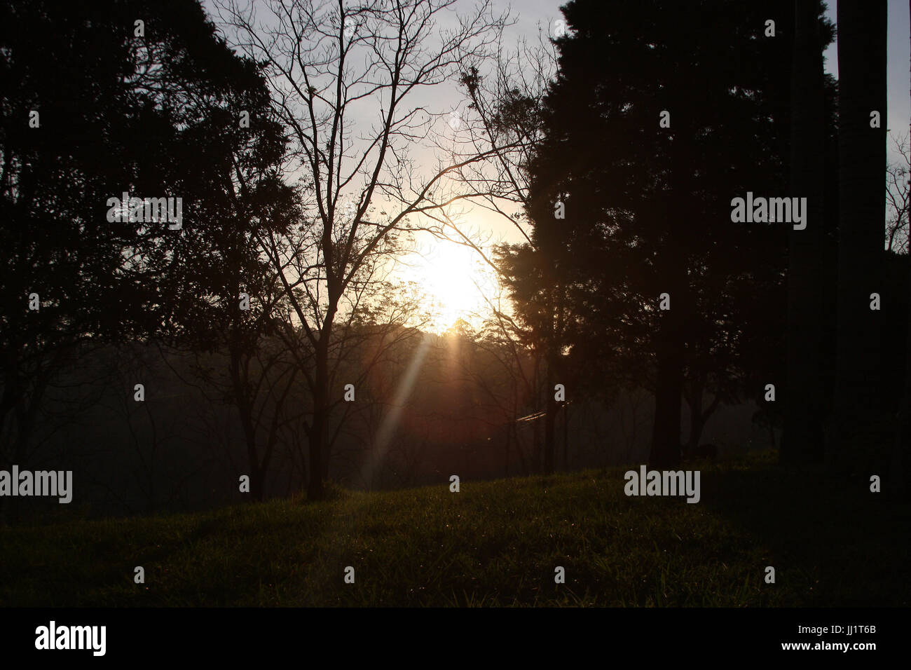 Sunset, São Paulo, Brazil Stock Photo - Alamy