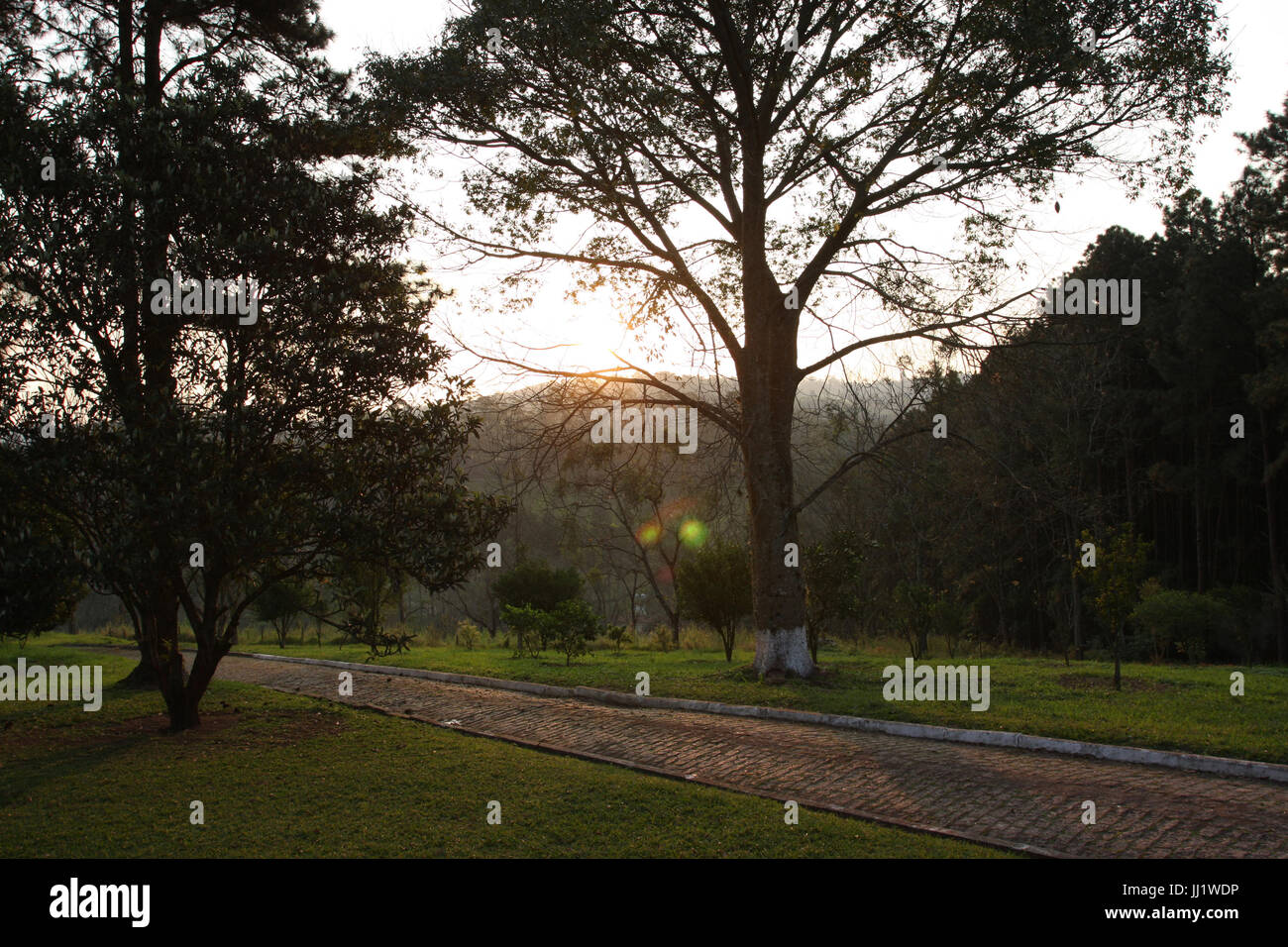 Sunset, Cotia, São Paulo, Brazil Stock Photo - Alamy