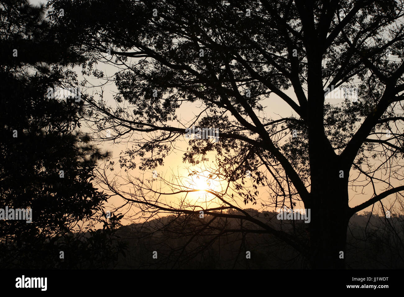 Sunset, Cotia, São Paulo, Brazil Stock Photo - Alamy