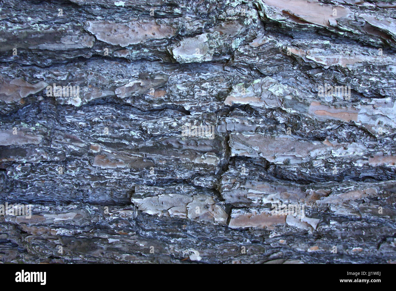 Texture, Stone, Cotia, São Paulo, Brazil Stock Photo - Alamy
