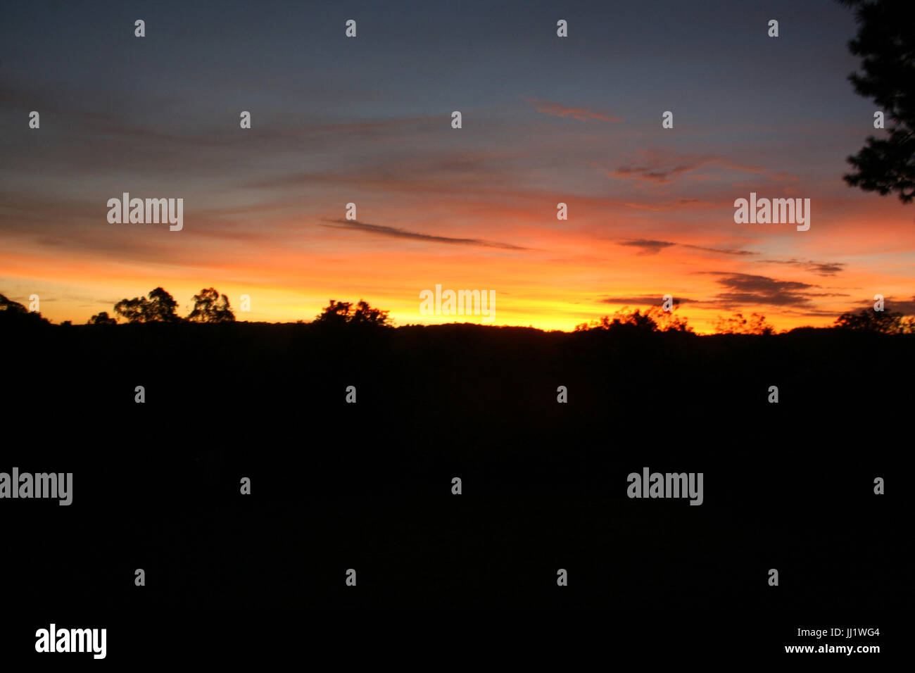 Sunset, Trees, Cotia, São Paulo, Brazil Stock Photo - Alamy