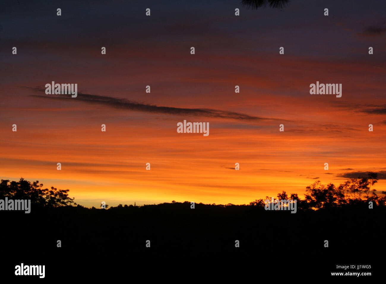 Sunset, Trees, Cotia, São Paulo, Brazil Stock Photo - Alamy