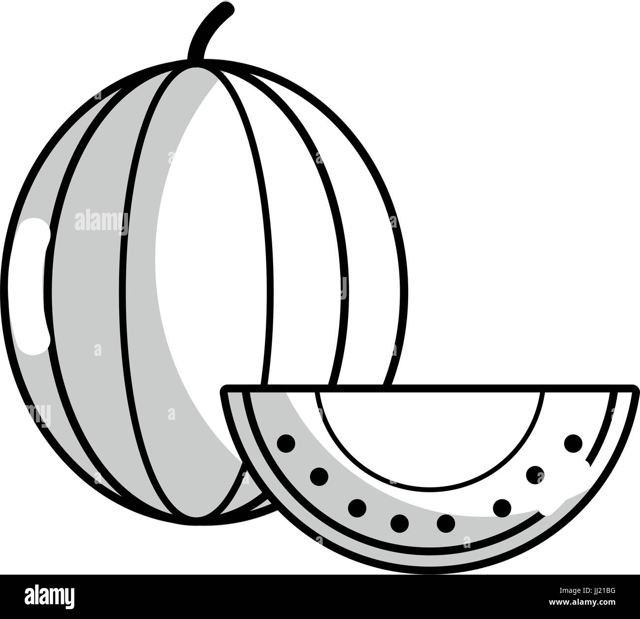 line delicious slice watermelon fruit with vitamins and protein Stock Vector Image & Art - Alamy