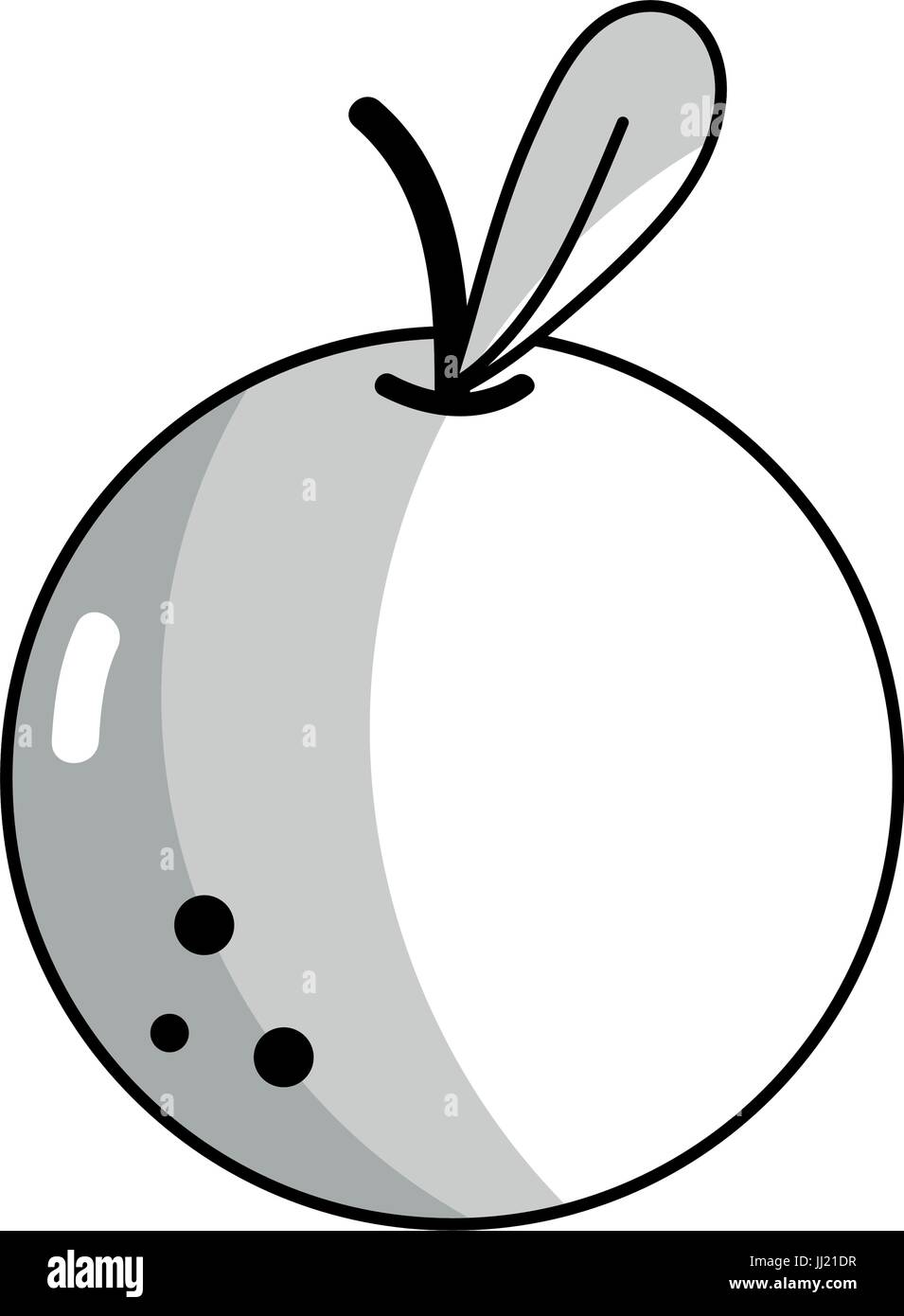 line delicious orange fruit with vitamins and protein Stock Vector Image & Art - Alamy