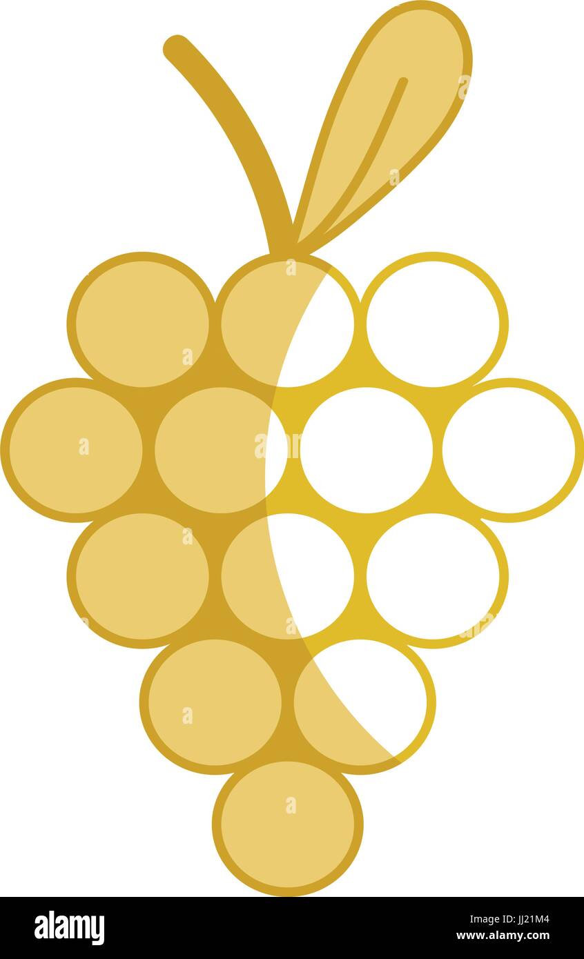 silhouette delicious grape fruit with vitamins and protein Stock Vector Image & Art - Alamy