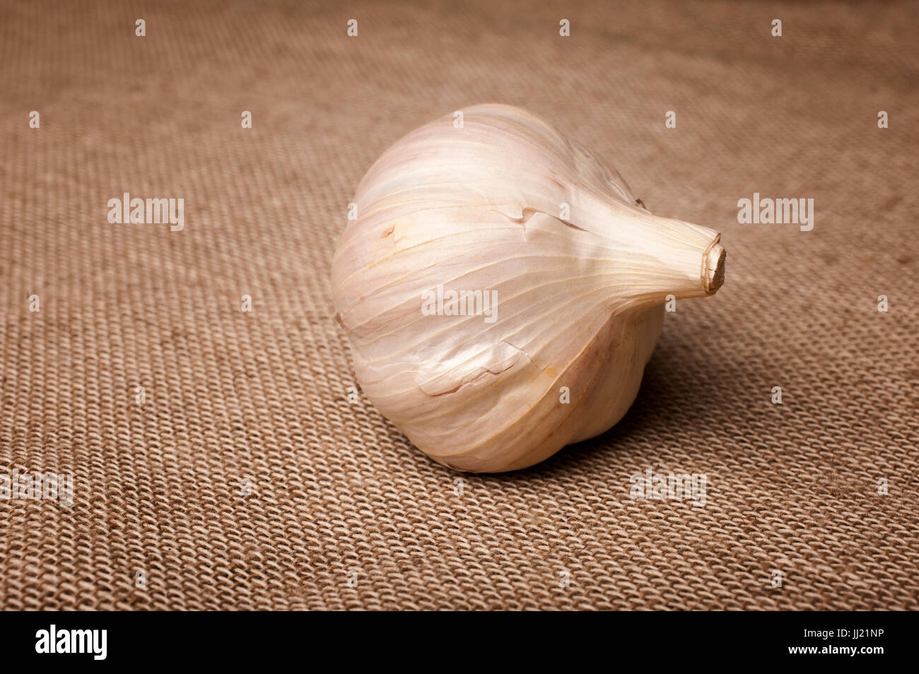 Garlic Bulb Allium sativum on a hessian background Stock Photo - Alamy