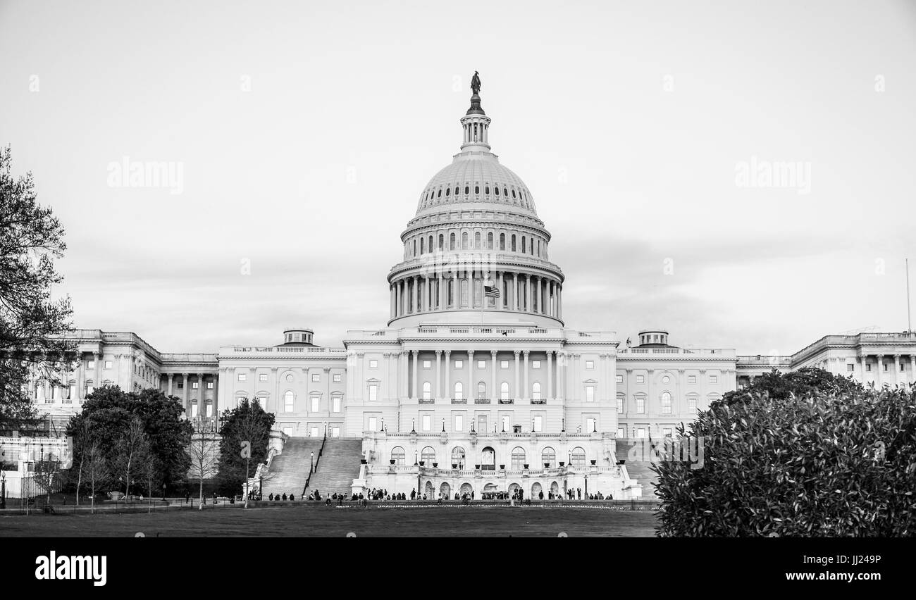 The Capitol in Washington DC - beautiful evening view Stock Photo - Alamy