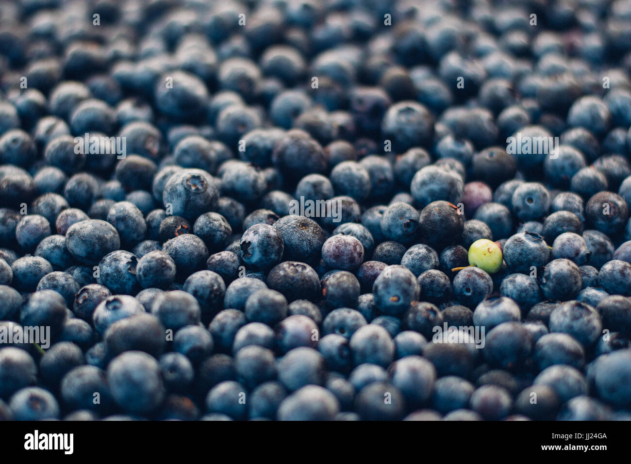 One single berry hi-res stock photography and images - Alamy