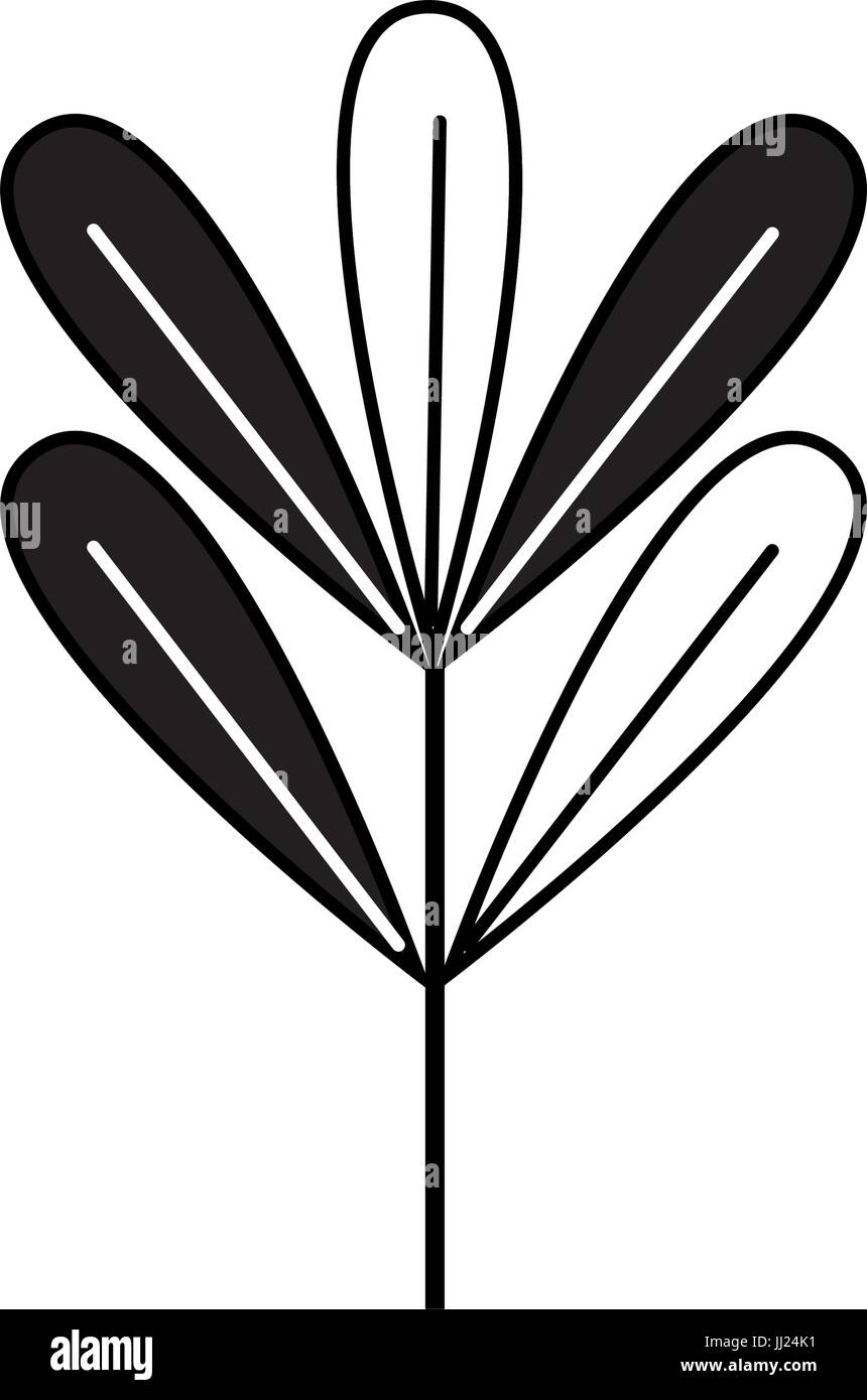 contour natural plant with botanic leaves design Stock Vector Image ...