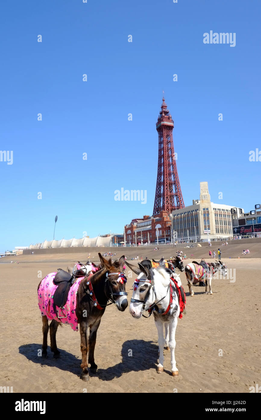 Blackpool england wheel hi-res stock photography and images - Alamy