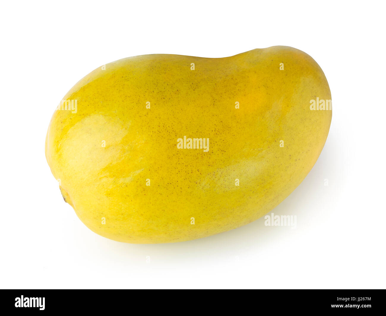 Closeup of a ripe yellow Ataulfo mango tropical fruit isolated on white ...