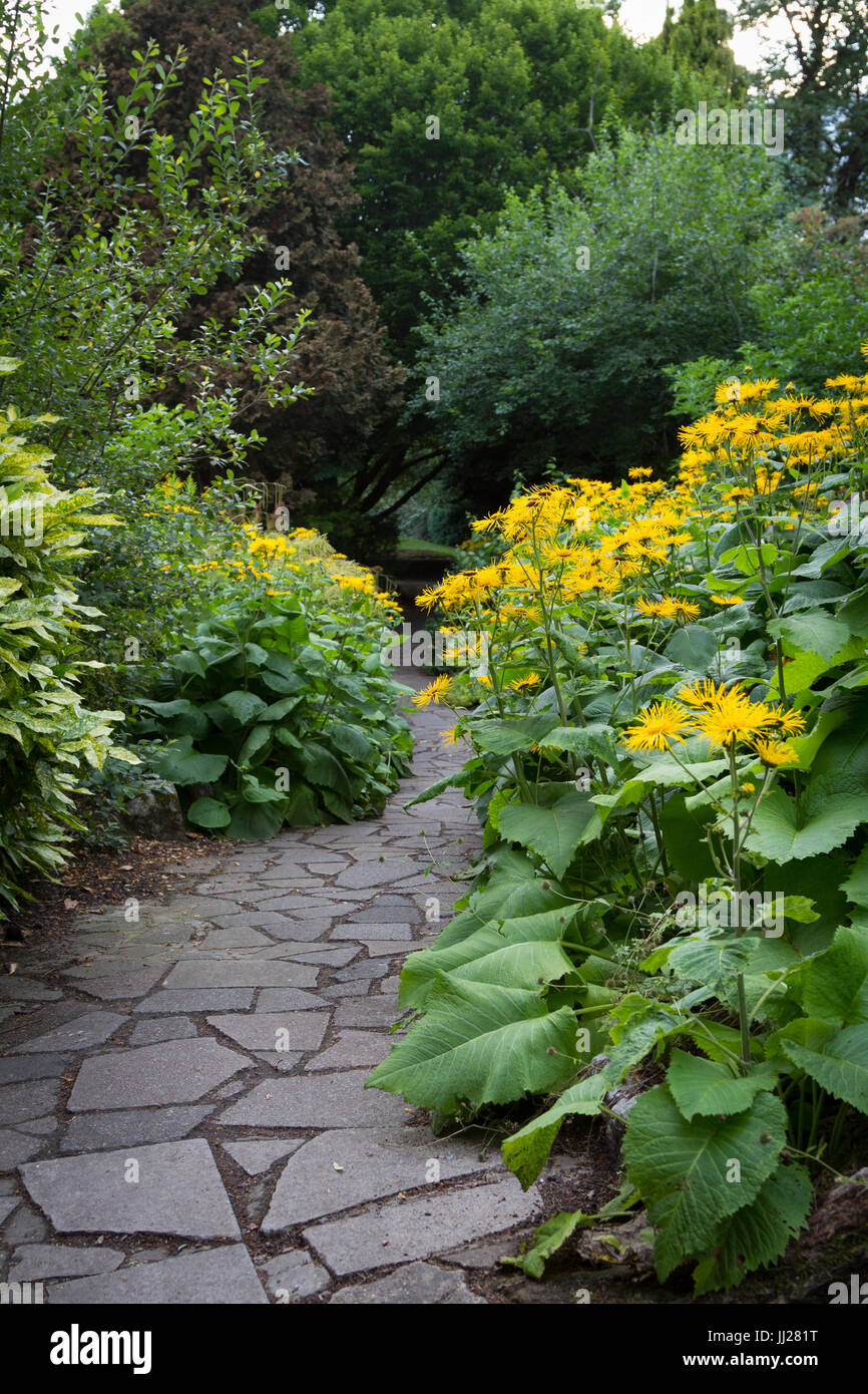 A Walk through the flowers along a stone path Stock Photo - Alamy