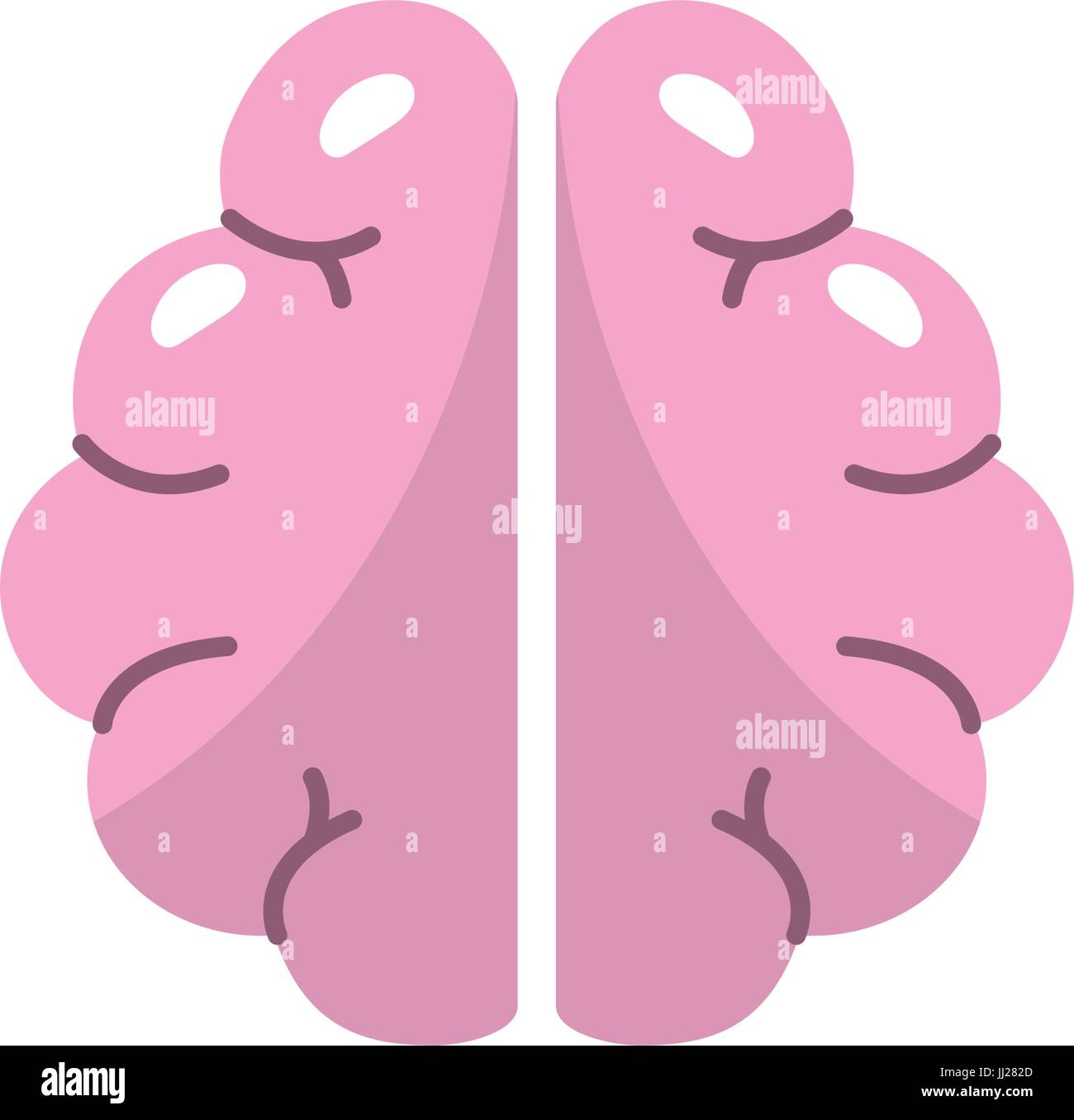 anatomy brain to imagination and memory inspiration Stock Vector Image ...