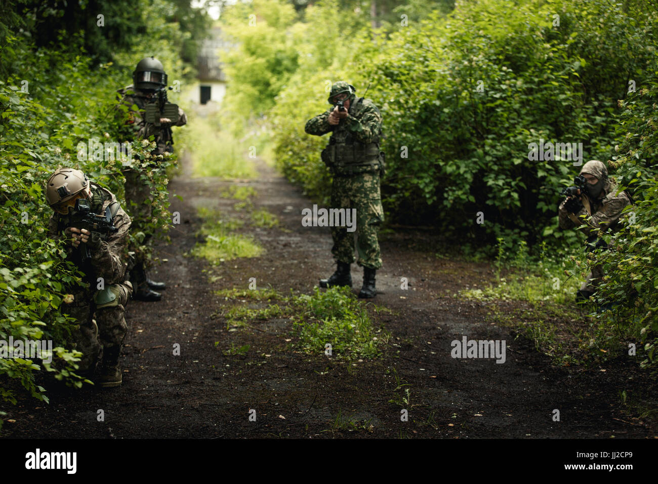Photo of soldiers in woods Stock Photo - Alamy
