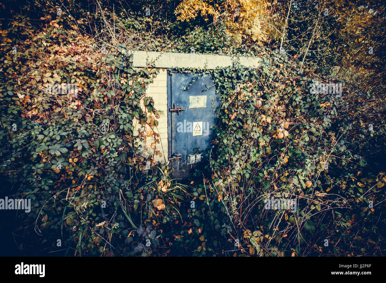 Mellow leaves High Resolution Stock Photography and Images - Alamy