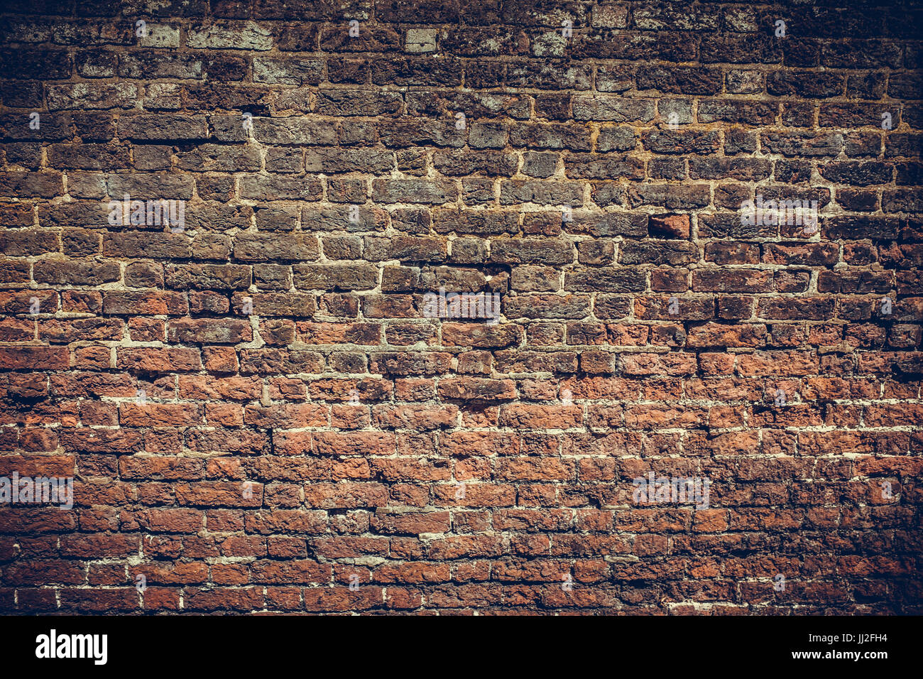 Wall heath hi-res stock photography and images - Alamy