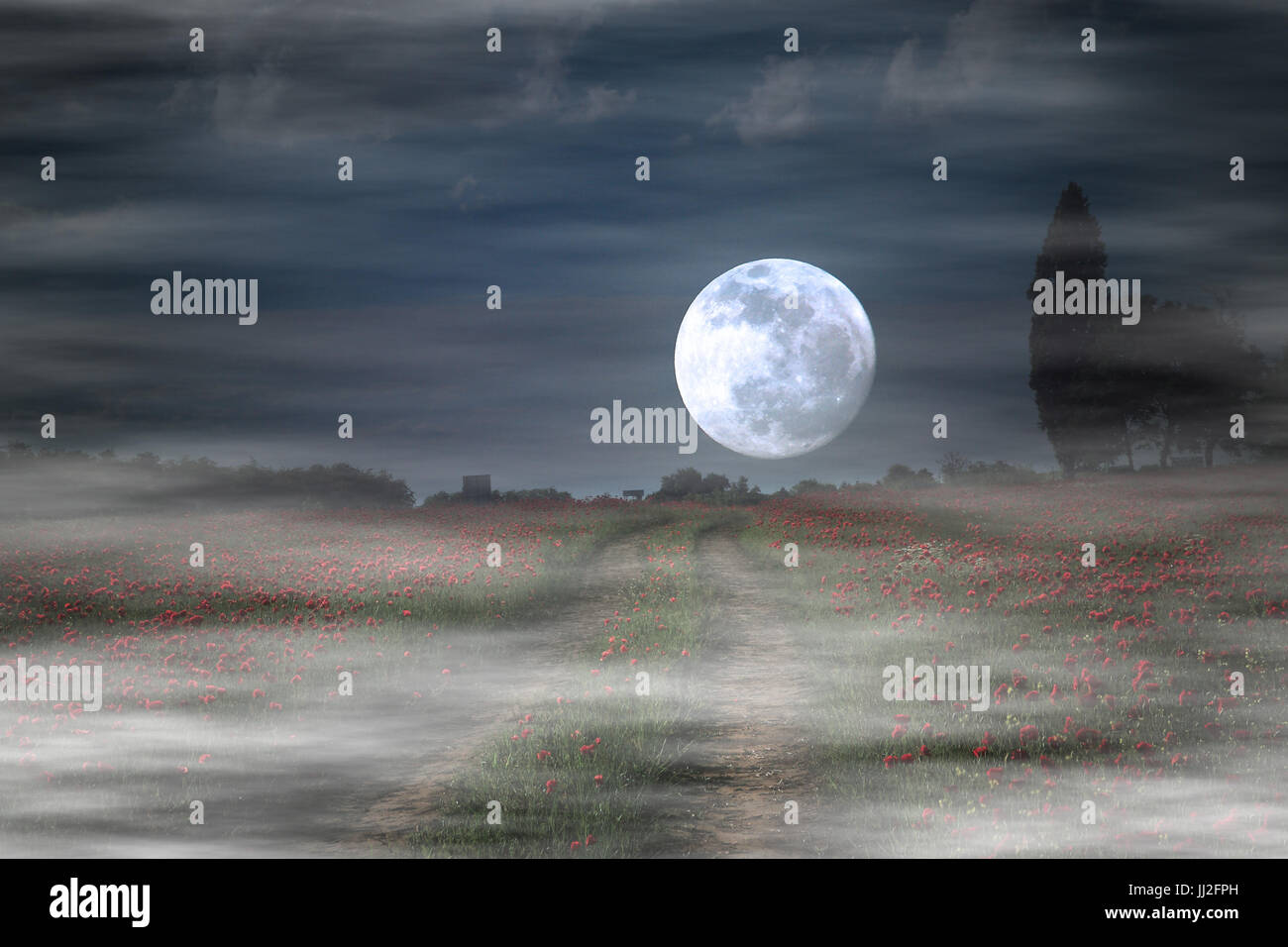 Full moon over path hi-res stock photography and images - Alamy